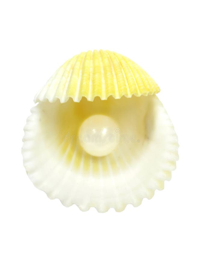Sea shell with pearl stock image. Image of luxury, beach - 41486751