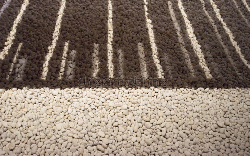White Pebble Floor with Brown Graphic Shadows Stock Photo - Image of ...