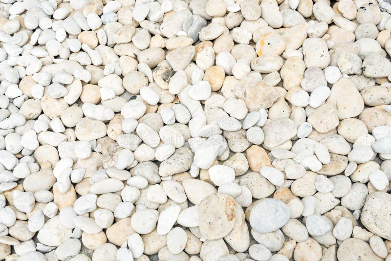 White Pebble on the Small Garden Ground. Stock Photo - Image of ...