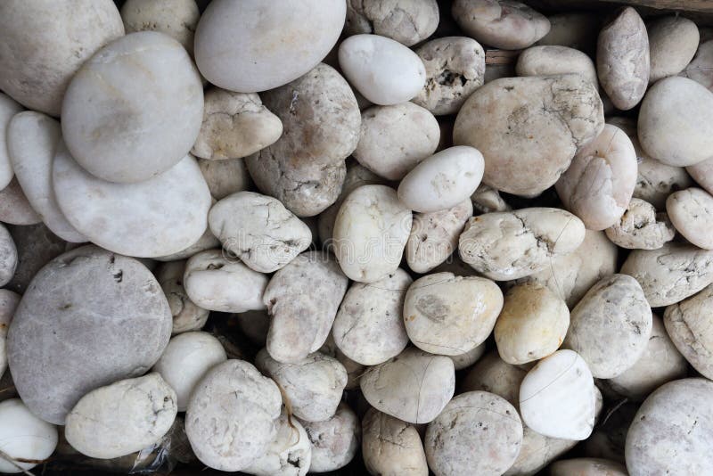 White pebble stone stock photo. Image of calm, oval, granite - 69962356