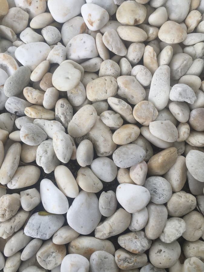 721 Pebble Pool Texture Stock Photos - Free & Royalty-Free Stock Photos ...