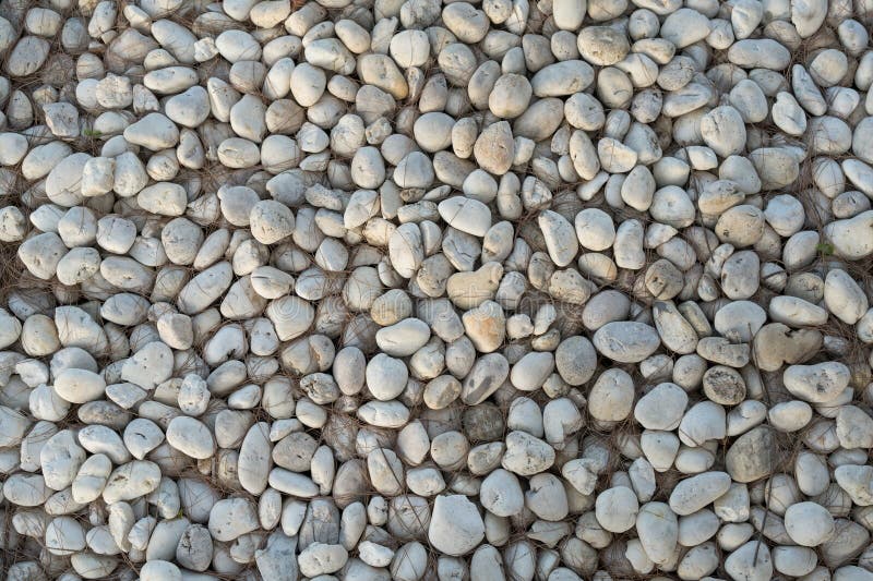 White Pebble Stone Texture on the Ground Stock Image - Image of circle ...