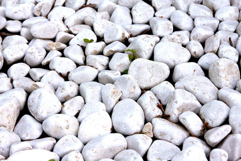 White pebble texture stock image. Image of background - 54758393
