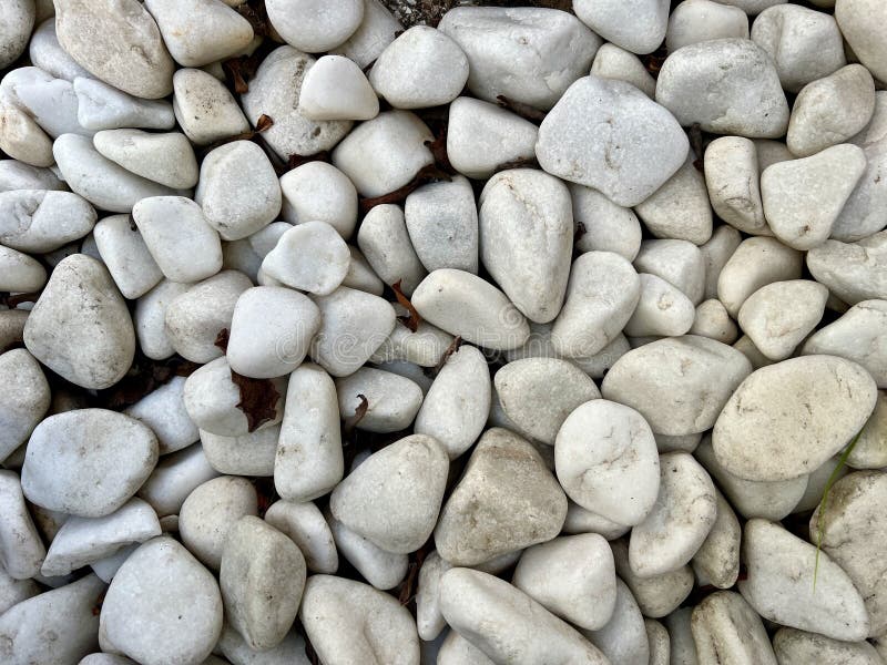 White Pebbles stock image. Image of pebble, decorative - 302241897