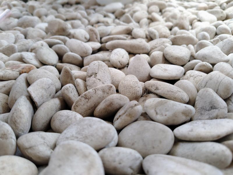 White Pebbles in the Front Yard of the House Stock Image - Image of ...