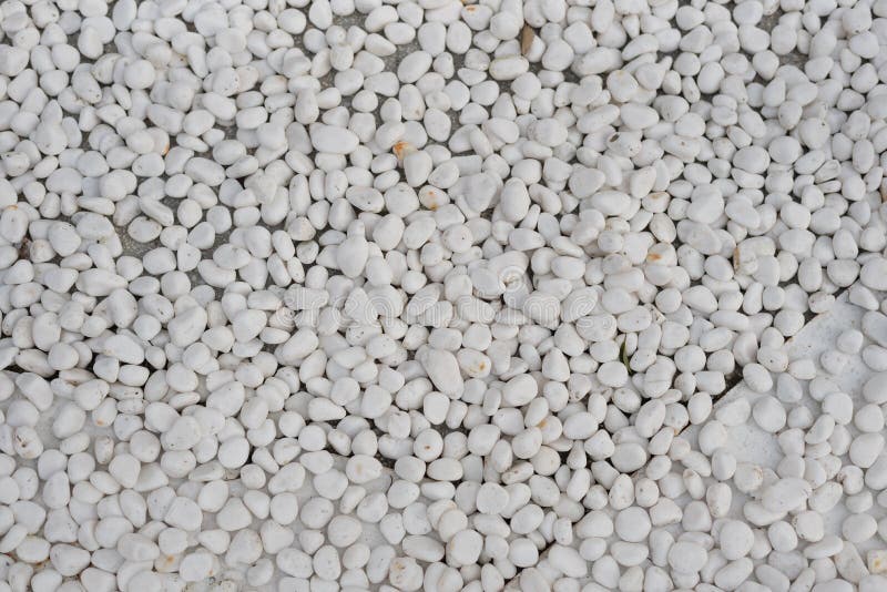 White pebbles on ground stock image. Image of nature - 110405787
