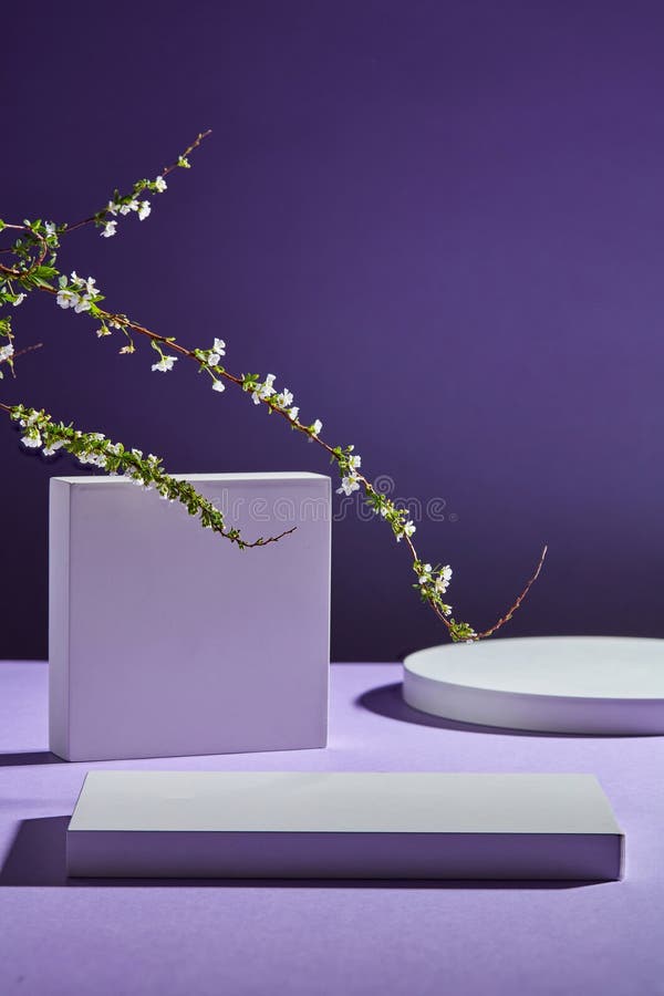 White Pedestals in Square, Rectangle and Round Shape. Stock Photo ...