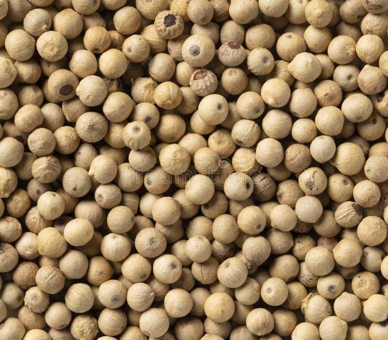 White Pepper As a Background. or Texture Stock Image - Image of food ...