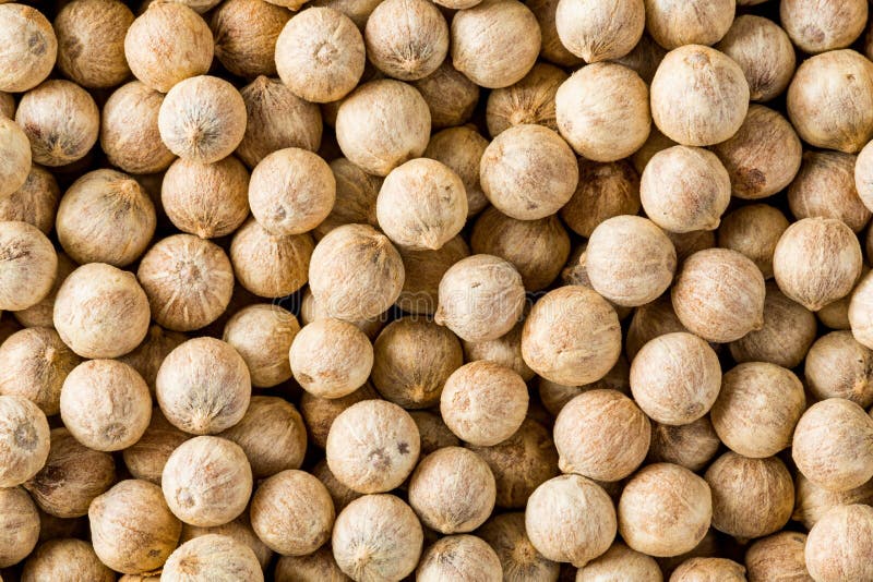 White pepper stock photo. Image of cuisine, ground, black - 30844640