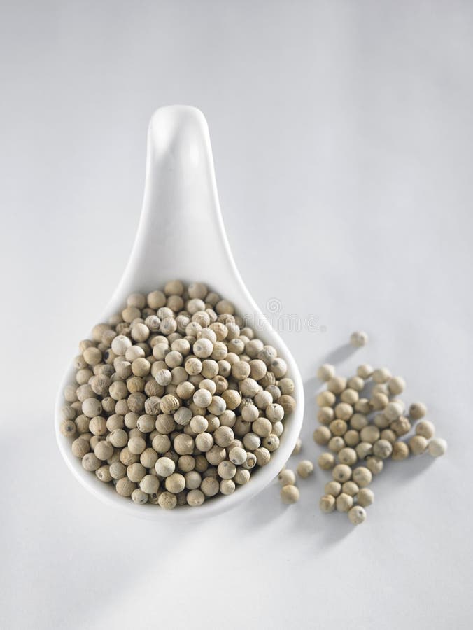 White pepper corn stock image. Image of pepper, cooking - 63821209