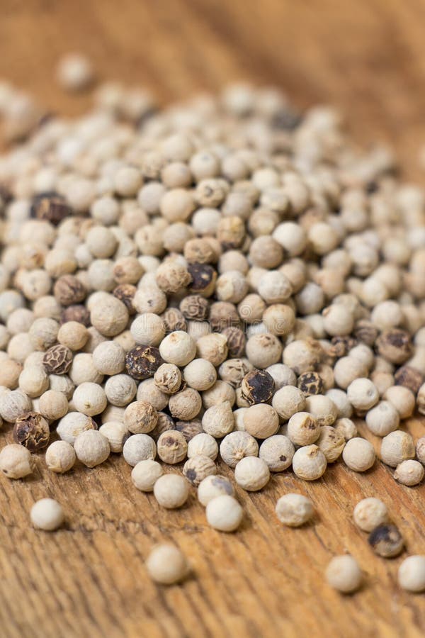 White pepper stock image. Image of pepper, ingredient - 66706513