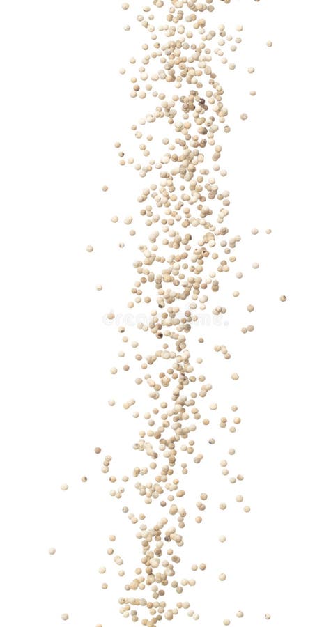 White Pepper Seeds Fall Down Pour in Group, White Pepper Float Explode ...
