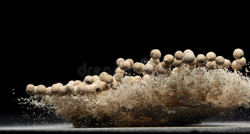 White Pepper Seeds Fly Explosion, White Pepper Mix Powder Float Explode ...