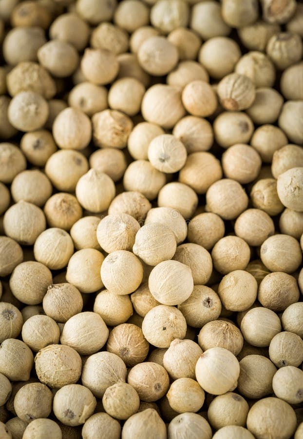 White pepper stock photo. Image of aromatic, peppercorn - 94393194