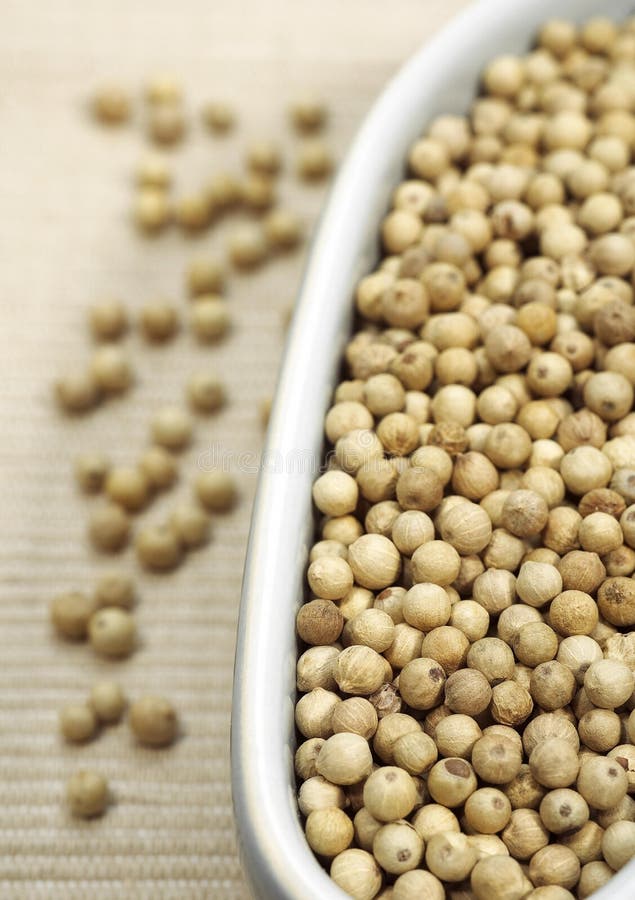 WHITE PEPPERCORN stock photo. Image of food, shot, ingredient - 195007020