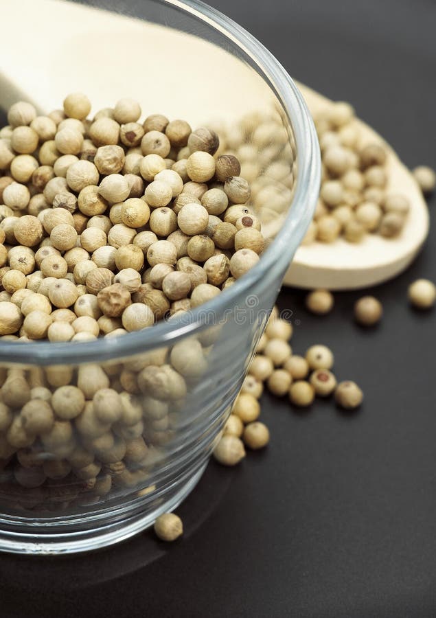 WHITE PEPPERCORN in a JAR stock image. Image of peppercorn - 195007027