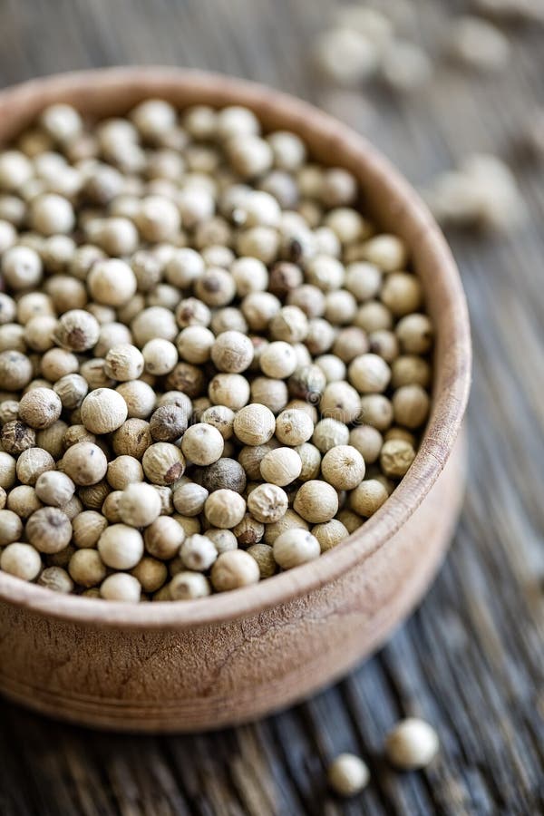 White peppercorn stock photo. Image of culinary, grain - 7426078