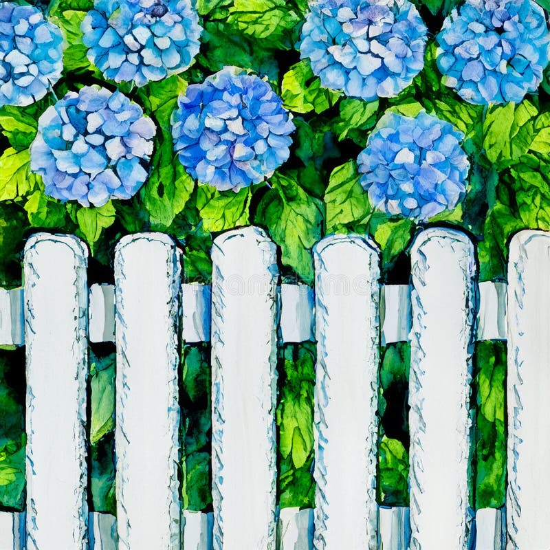 White Picket Fence with Fully Blue Hydrangea Stock Illustration ...