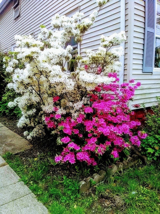 Sculptured Cement Wall Border Stock Photos - Free & Royalty-Free Stock ...