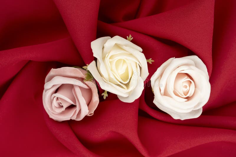 The White and Pink Color Roses on a Red Satin Background Stock Photo ...
