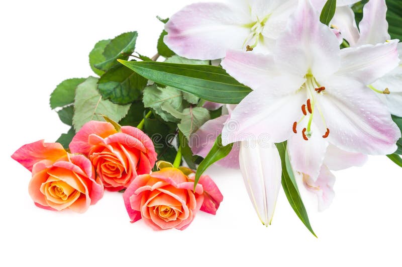 White-pink Lilies and Three Red-orange Roses on White Background Stock ...