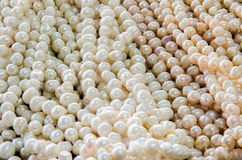 Pearl Line Up stock image. Image of string, christmas, expensive - 103233
