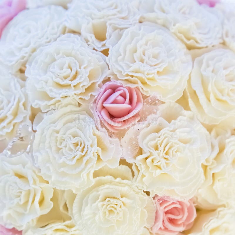 White and pink roses stock photo. Image of love, pink - 58110418