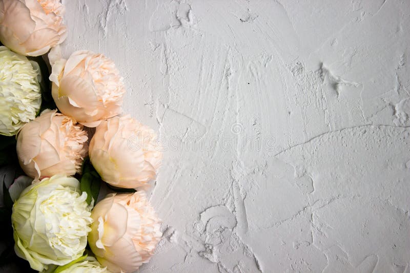White and Pink Roses Over Grey Texture Background. Stock Image - Image ...