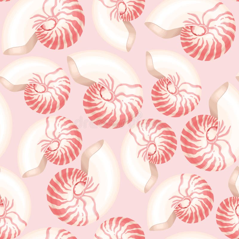 White and Pink and White Shells Seamless Pattern Stock Vector ...