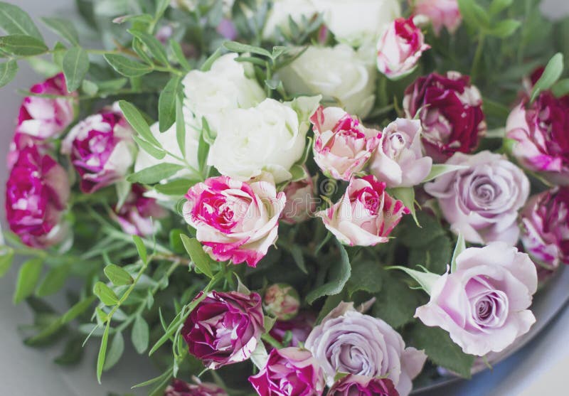 Pink Spray Carnation Flower and School Desk with Khaki Background Stock ...