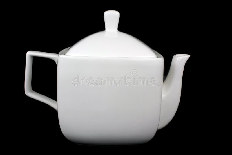 White-top Pitcher Plants at the Splinter Hill Bog Preserve in Baldwin ...