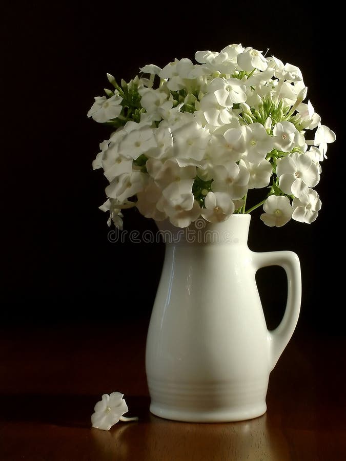 White Pitcher & Flowers Stock Photo - Image of fragrance, sweet: 15736