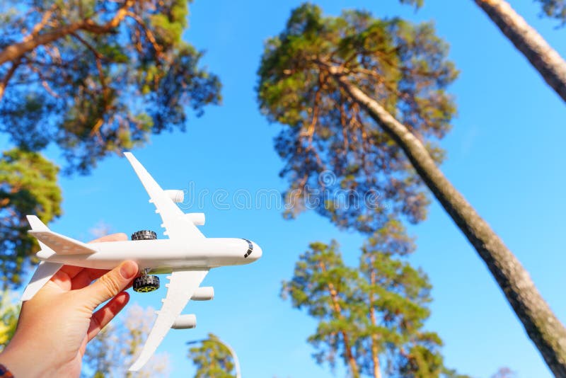 White Plane Model in Hand in the Woods Stock Photo - Image of dreaming ...