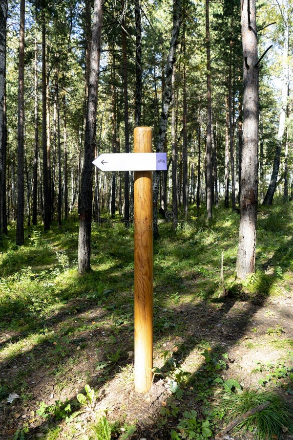 White Plaque Pointer on a Wooden Post in a Pine Forest. Stock Image ...