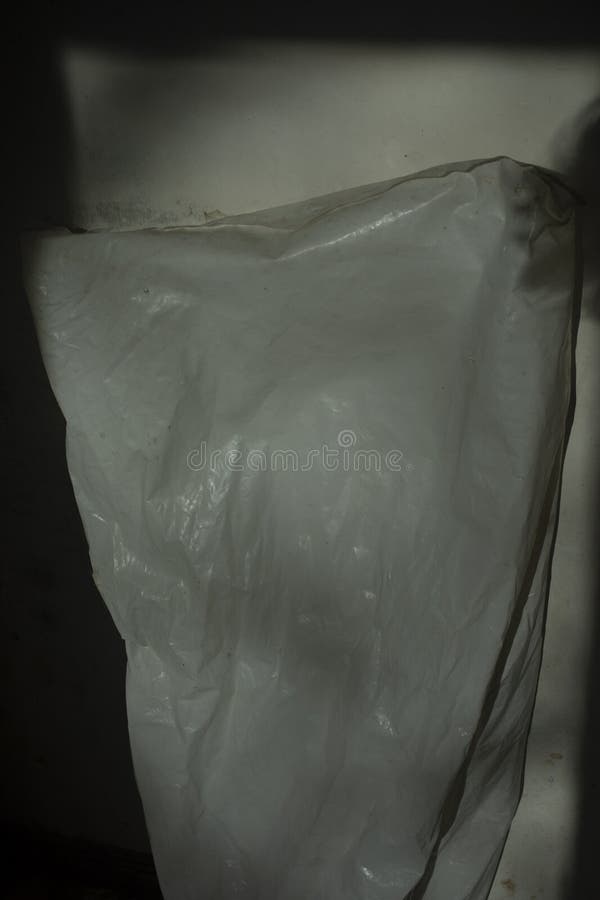 White Plastic Bag. Plastic in Everyday Life Stock Image - Image of ...