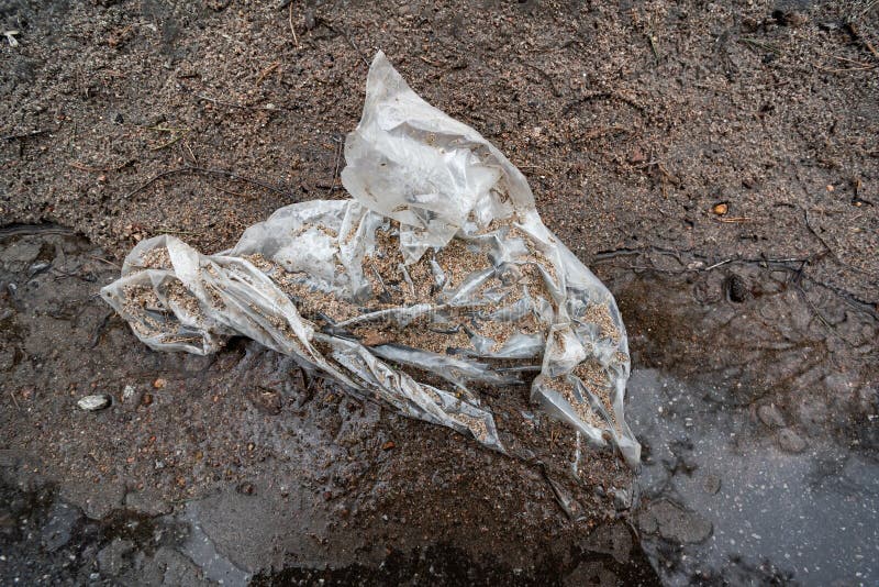 White Plastic Bag on the Road in the Mud Stock Image - Image of ...