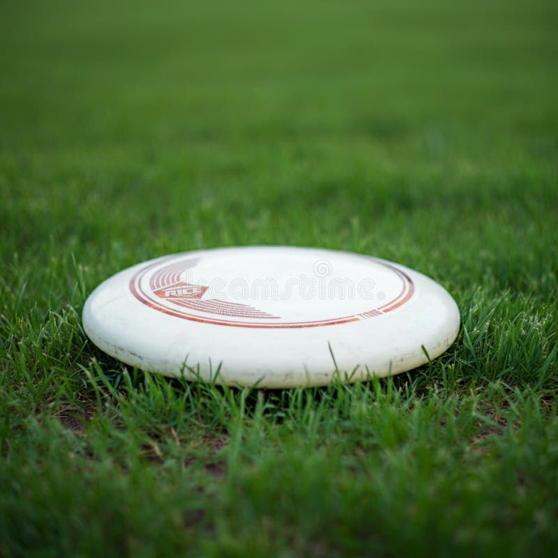 White Plastic Frisbee with Red Markings Resting on Green Grass ...