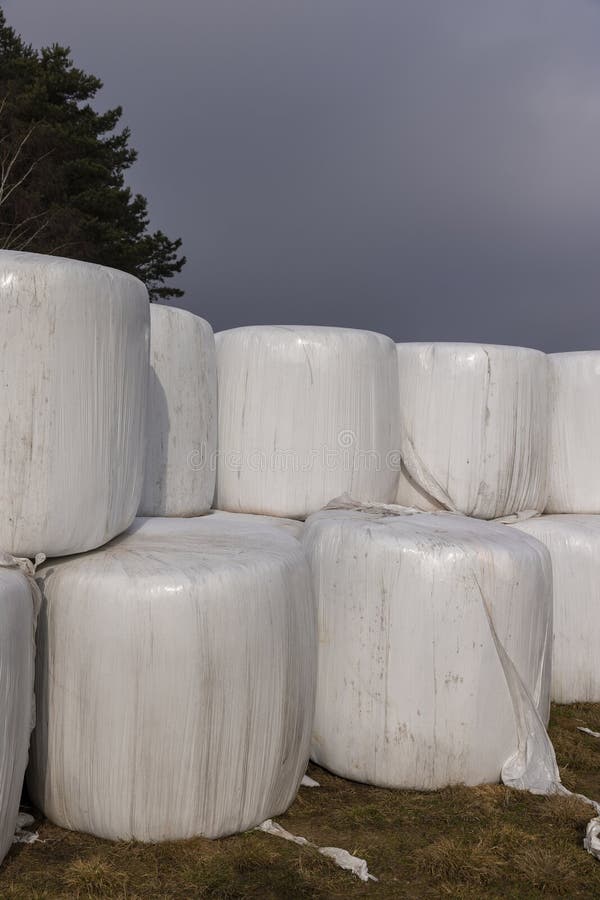 White Plastic Packaging for Hay during Storage in Winter Stock Image ...