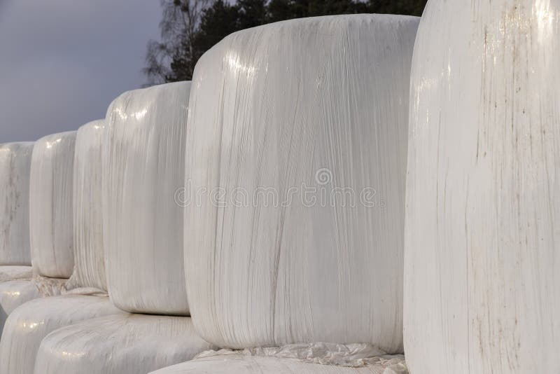 White Plastic Packaging for Hay during Storage in Winter Stock Image ...