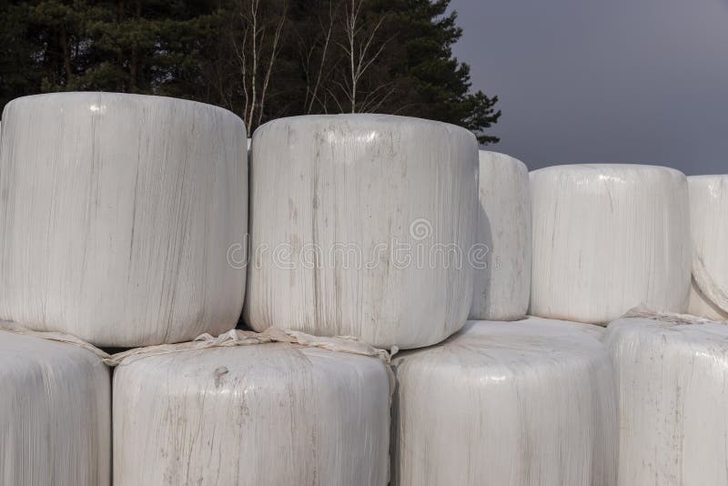 White Plastic Packaging for Hay during Storage in Winter Stock Photo ...