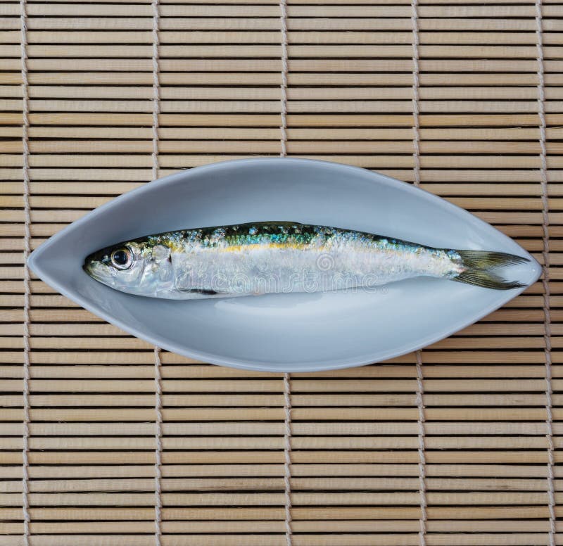 White Plate with One Sardine Stock Image - Image of seafood, meal: 50850823