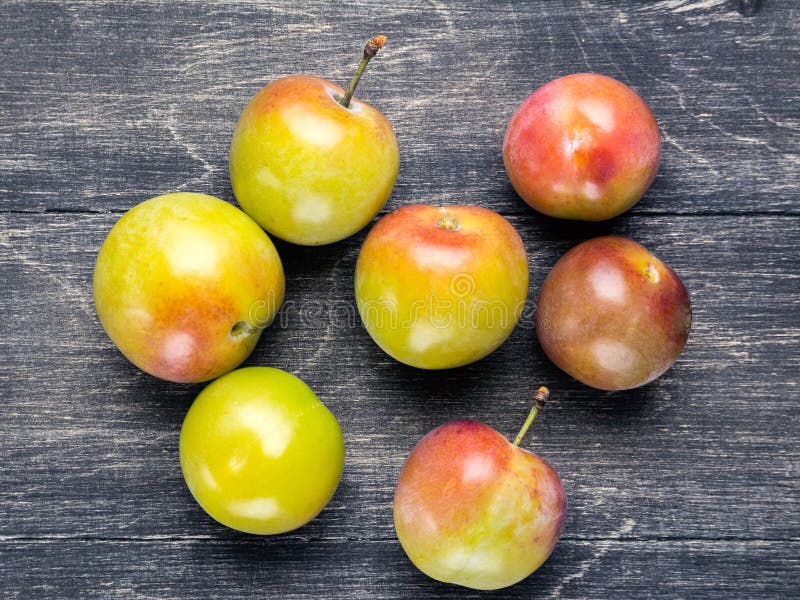 White plum stock photo. Image of dessert, orange, material - 79209538