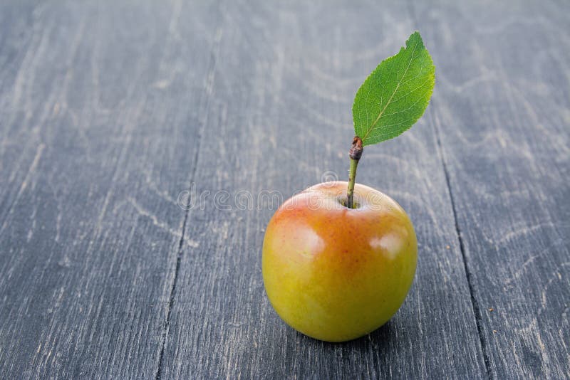 White plum stock photo. Image of plum, fruits, berry - 79209582
