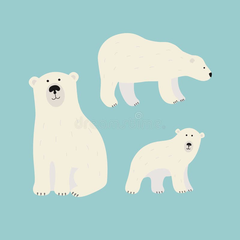 A White Polar Bear Is At Sitting Posture Vector Color Drawing Or