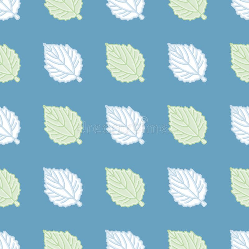 Populus Alba - Silver Poplar Stock Vector - Illustration of chain ...