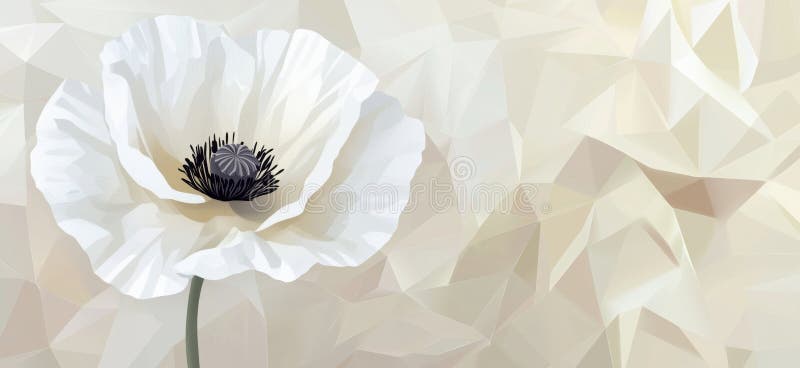 White Poppy Flower Illustration with Geometric Background Design Stock ...