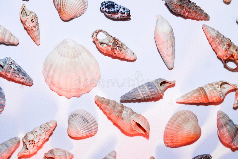 White Porcelain Cup. Open Book. Decorative Flowers Stock Image - Image ...