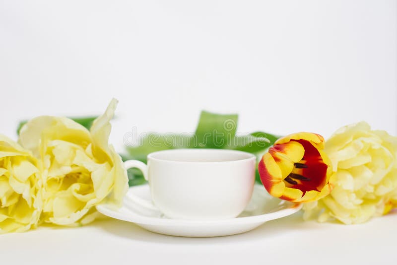White Porcelain Tea Cup and Bright Spring Flowers Tulips Stock Image ...