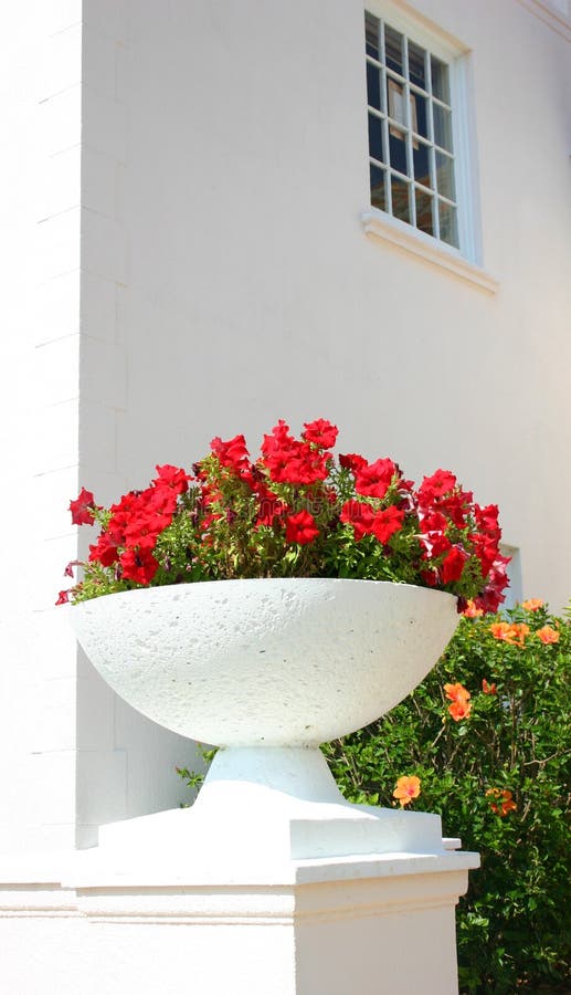 White pot with flowers stock photo. Image of building, beautiful - 116694
