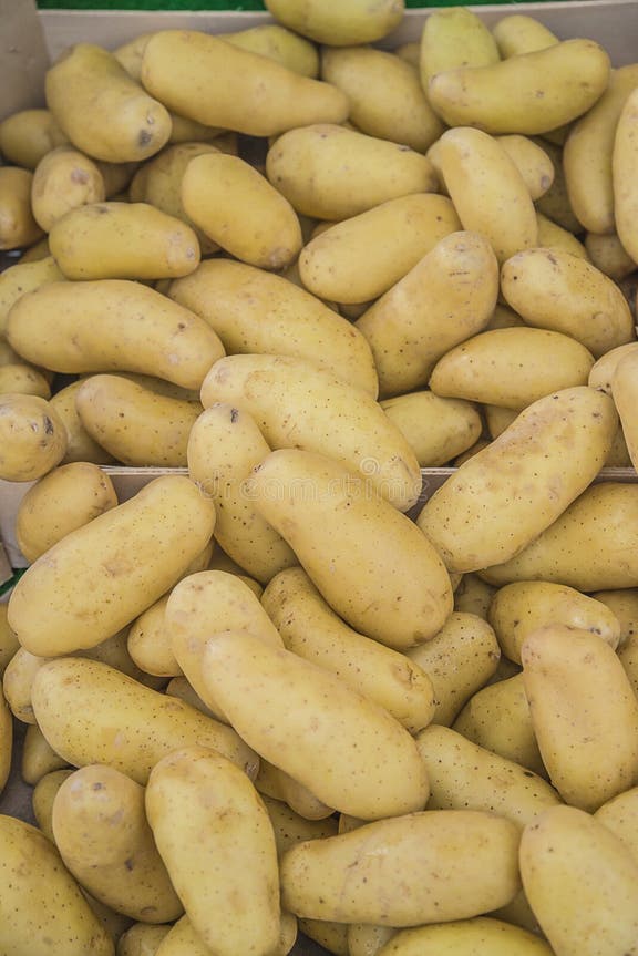 White potatoes in the box stock image. Image of savory - 142084569